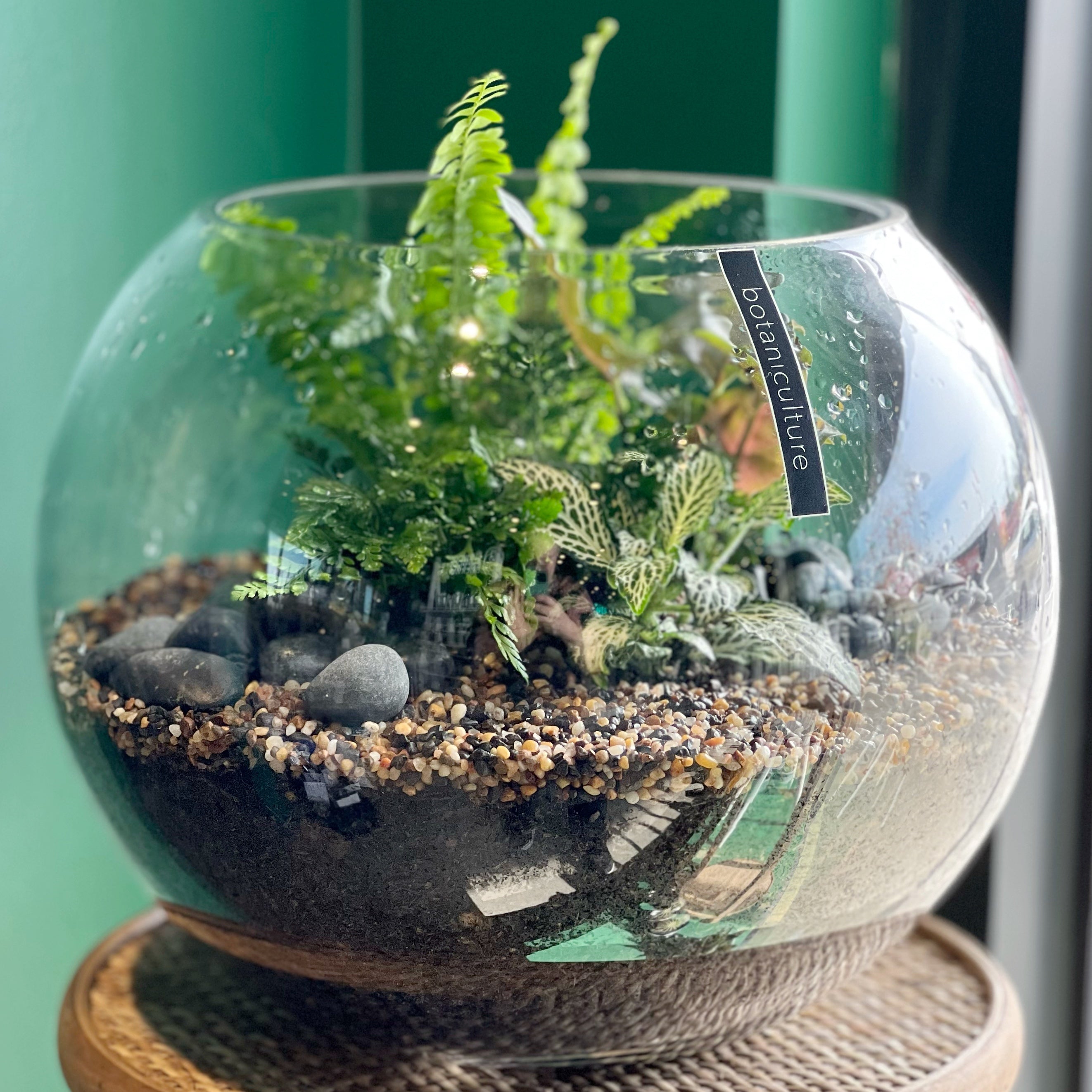 Shop All – botaniculture | Farm Flowers